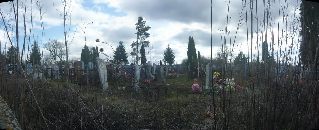 Mezarlıklar Частодубравское кладбище, Lipetskaya oblastı, foto