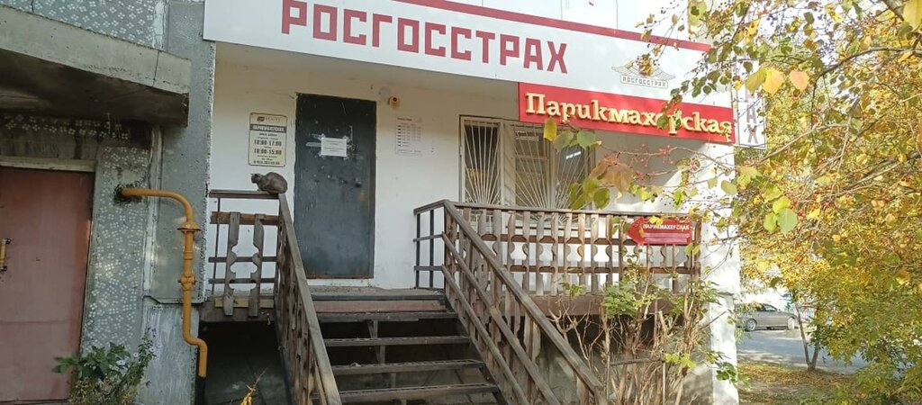 Sigorta şirketleri Росгосстрах, Omskaya oblastı, foto