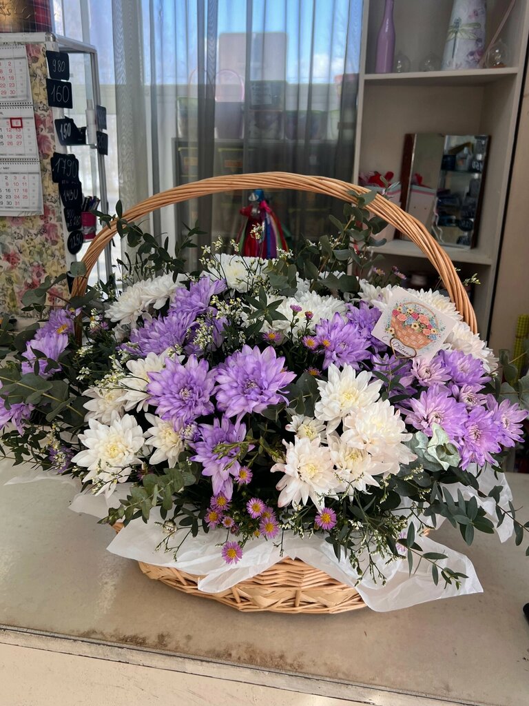 Çiçekçiler Botanika, Novodvinsk, foto