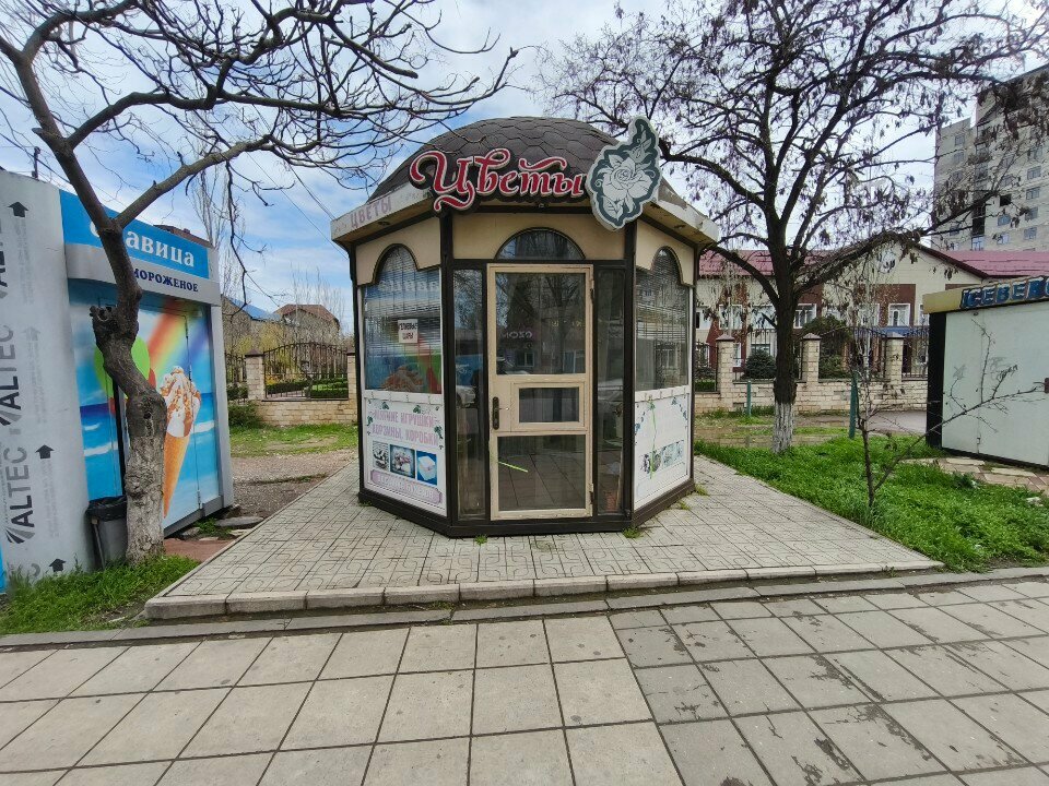 Çiçekçiler Мир цветов, Makhachkala, foto
