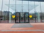 Golden Crown (Máńgilik El dańǵyly No:33/1), para transferleri  Astana'dan