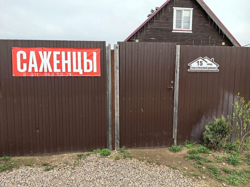 Fidan yetiştiriciliği Любимый сад, Saint‑Petersburg ve Leningradskaya oblastı, foto