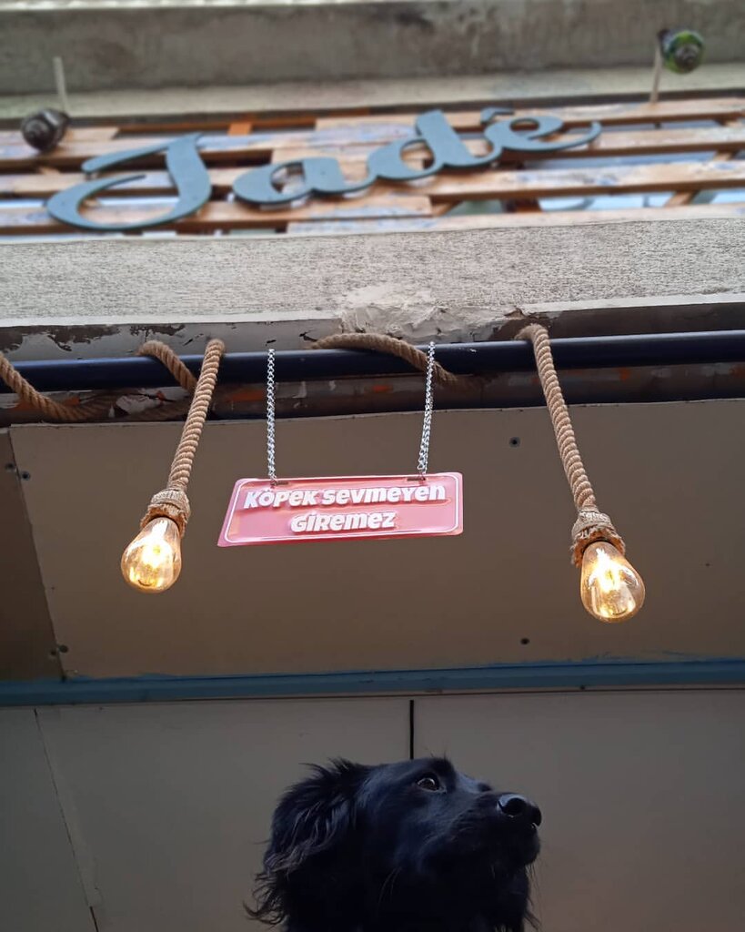 Kafe Jade Cafe, İstanbul, foto