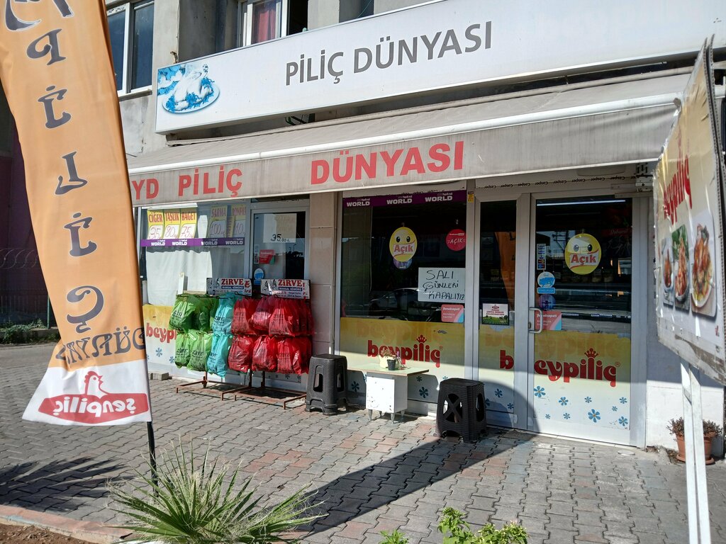 Kasap, şarküteri Yd piliç dünyası, Adana, foto