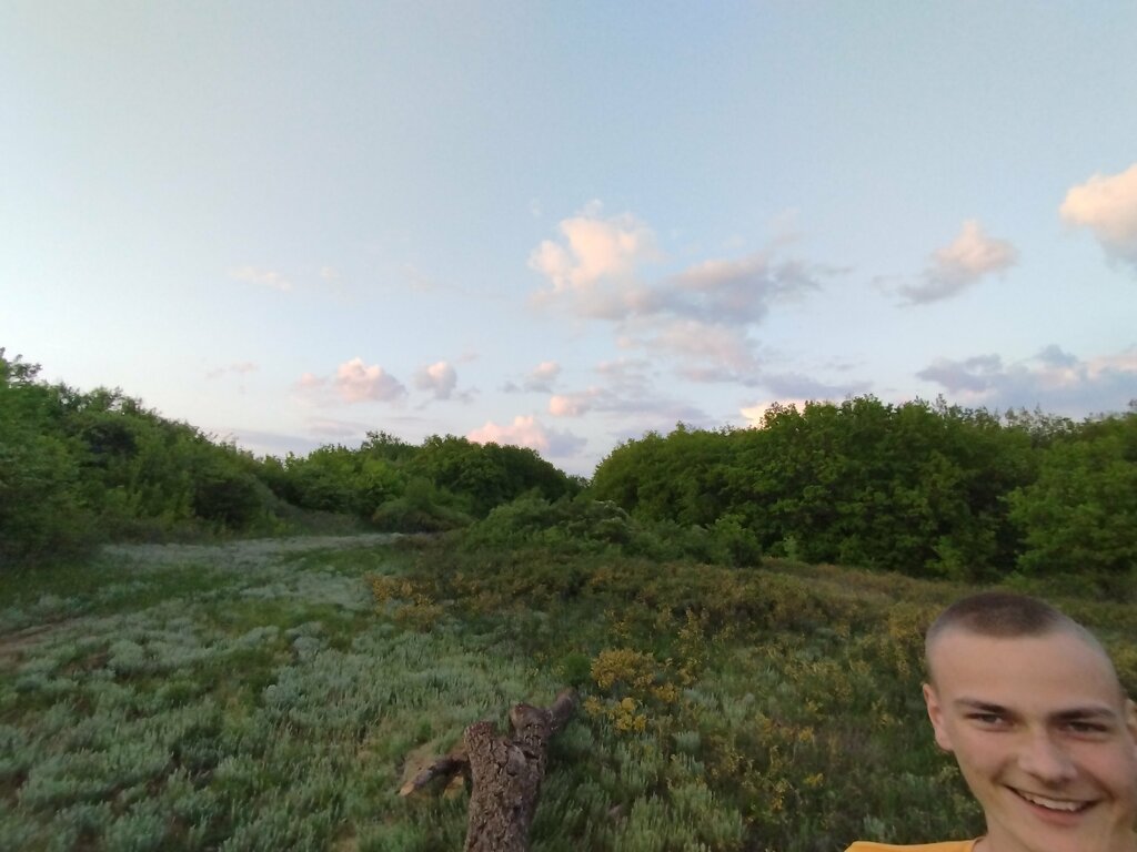 Orman урочище Перещепное, Voronejskaya oblastı, foto