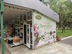 Hosman (strada Mitropolit Gavriil Bănulescu-Bodoni No:20/1), çiçekçiler  Kişinev'den