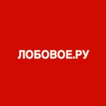 Windshield.ru (Transportnaya Street No:14литЗ), otomobil yedek parçaları  Soçi'den