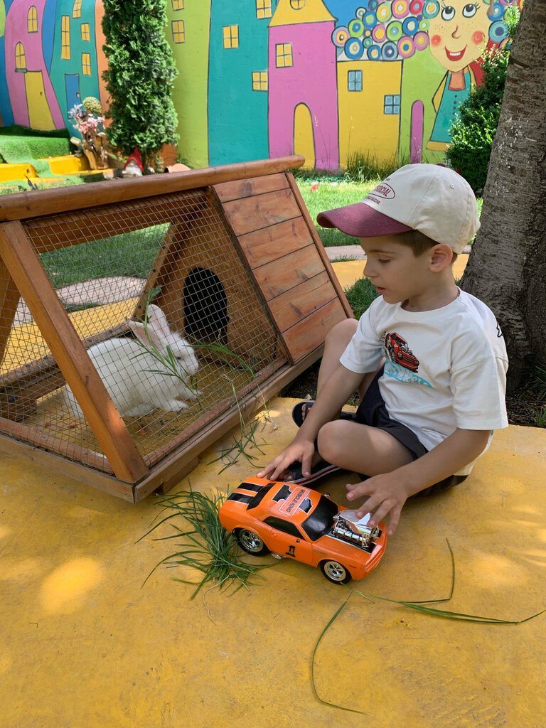 Çocuk gelişim merkezleri Kids Studio Gasparyans, Erivan, foto