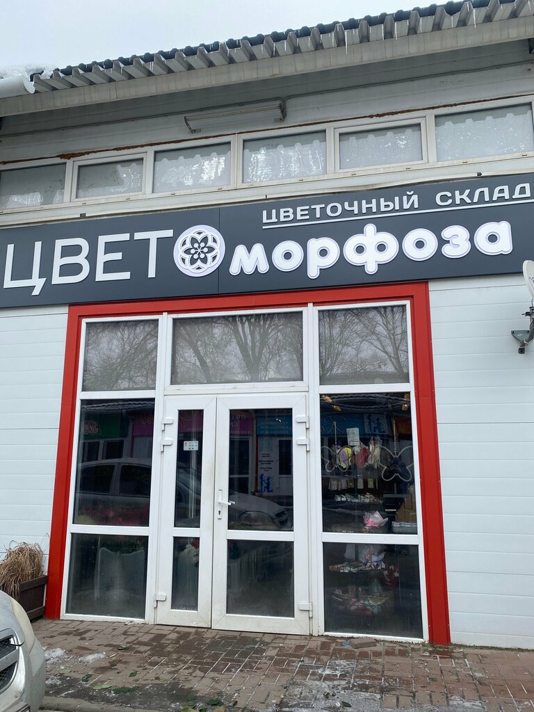 Çiçekçiler ЦВЕТОморфоза, Rostov‑na‑Donu, foto