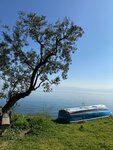 Gizli Bahçe Camping (Kapaklı Mah., G1. Sok., No:45, Armutlu, Yalova), kamp alanları  Armutlu'dan