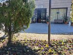 Park ve Bahçeler Dairesi Başkanlığı Kuzey Alanları Bakım Şube Müdürlüğü (İzmir, Bornova, Yüzbaşı İbrahim Hakkı Cad., 2/4), belediye ve kamu hizmetleri merkezi  İzmir'den