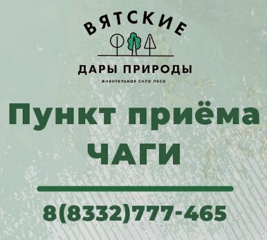 Çay mağazaları Вятские Дары Природы, Kirov, foto