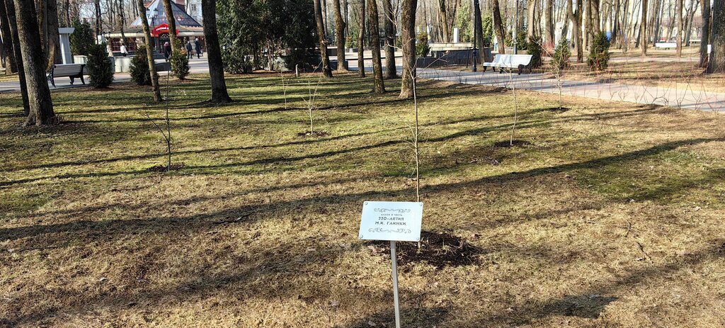 Doğa Аллея в честь 220-летия М.И. Глинки, Smolensk, foto