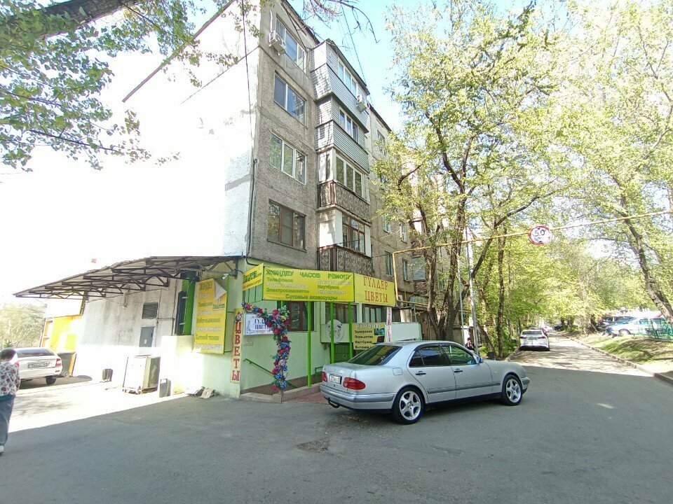 Terziler Shyngys-Khan, Almatı, foto