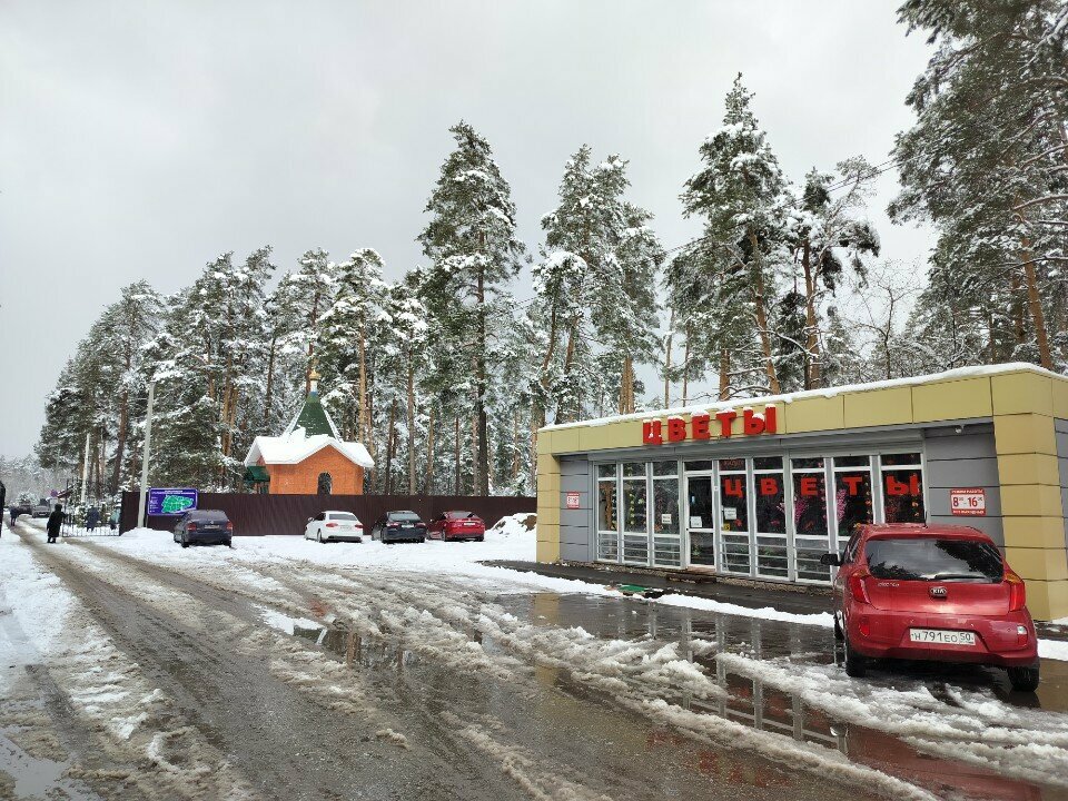 Mezarlıklar Малодубенское новое кладбище, Orehovo‑Zuyevo, foto