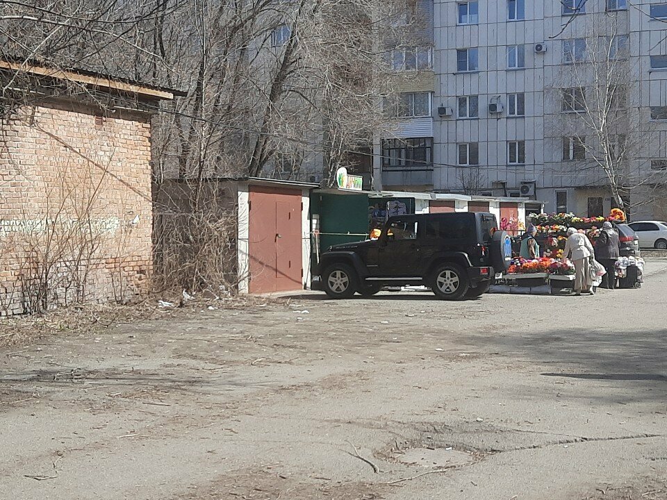 Tohum satan yerler Дачник, Biysk, foto