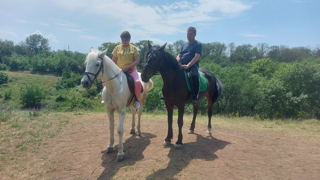 At ve binicilik kulüpleri Конный клуб Кентавр, Rostov‑na‑Donu, foto