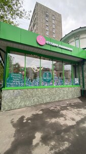 Me. Muza (Chertanovskaya Street No:47к1), manikür-pedikür  Moskova'dan