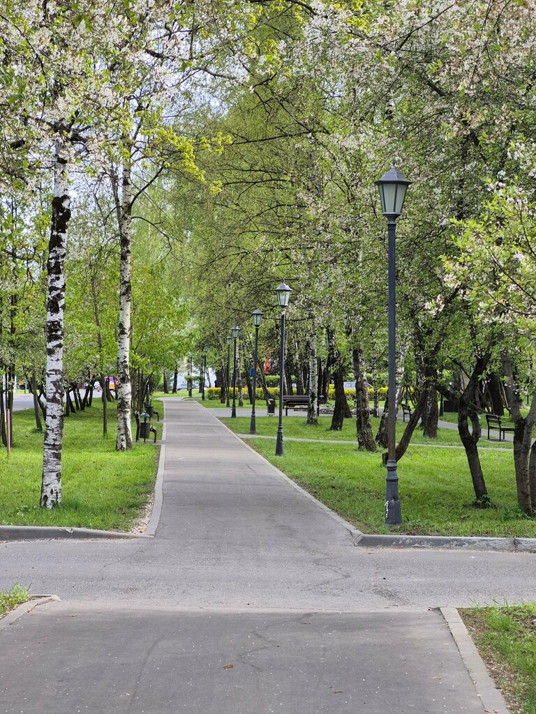 Kültür ve eğlence parkları аллея Славы, Moskova, foto