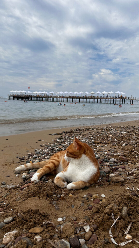 Otel Tatil Danışmanım, Manavgat, foto