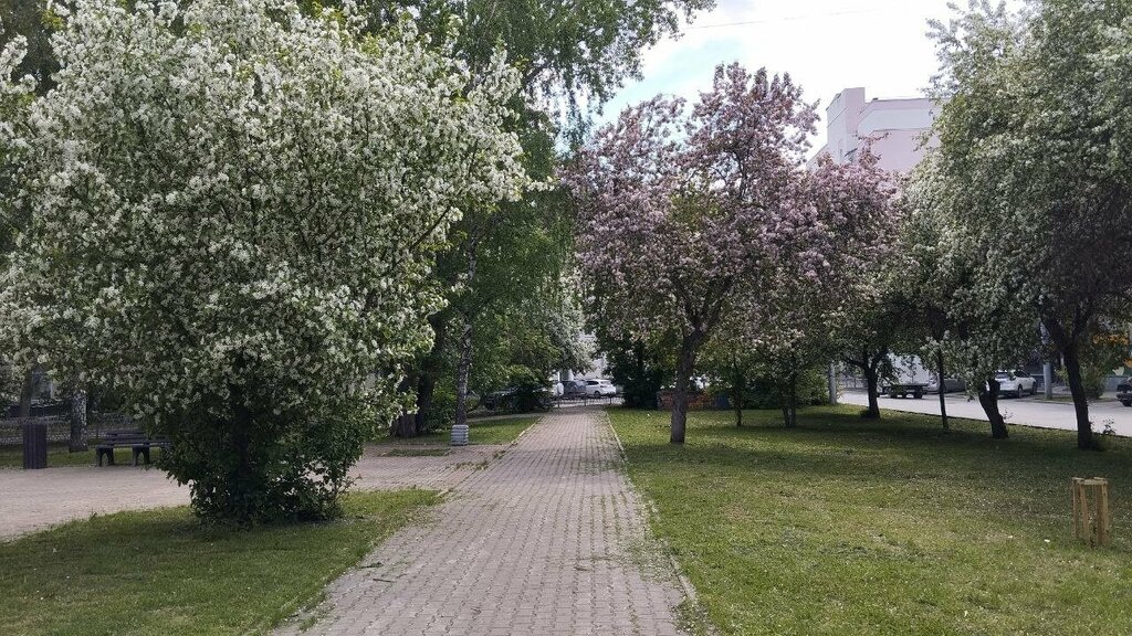 Kültür ve eğlence parkları сквер имени Василия Ерёмина, Yekaterinburg, foto