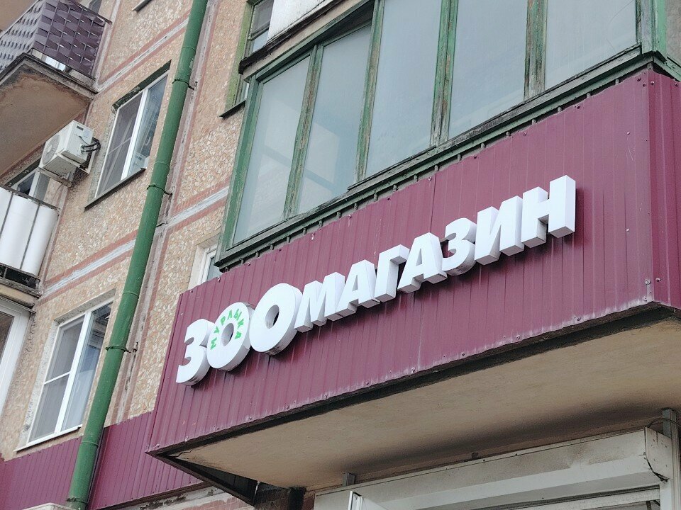 Petshop Кот Матроскин, Pskov, foto