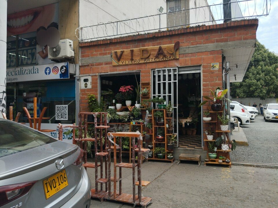 Fidan yetiştiriciliği Vida Vivero Artisanal, Cali, foto