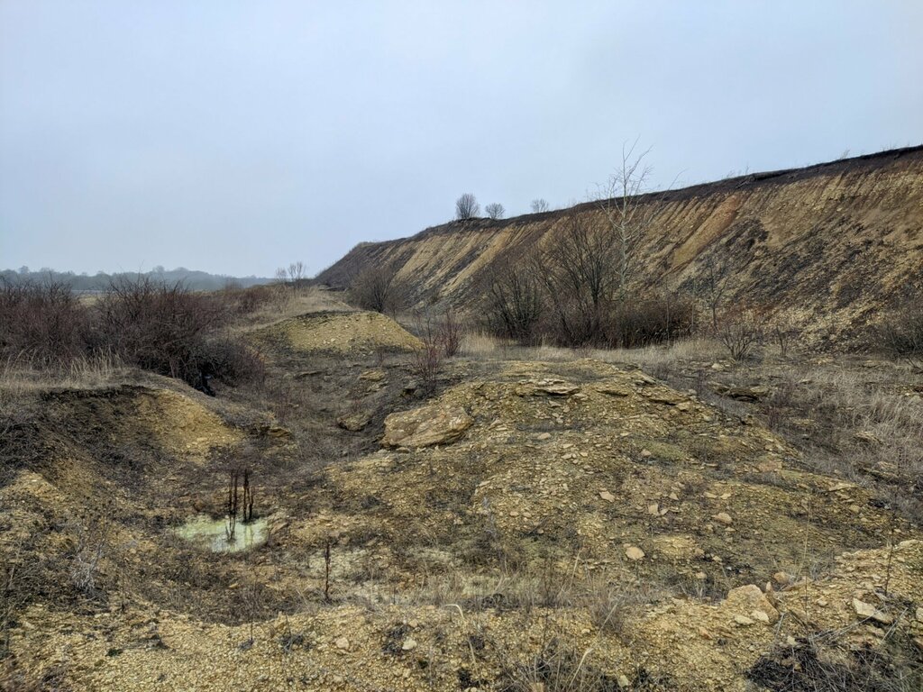 Doğa koruma alanı памятник природы регионального значения урочище Апушкина гора, Orlovskaya oblastı, foto