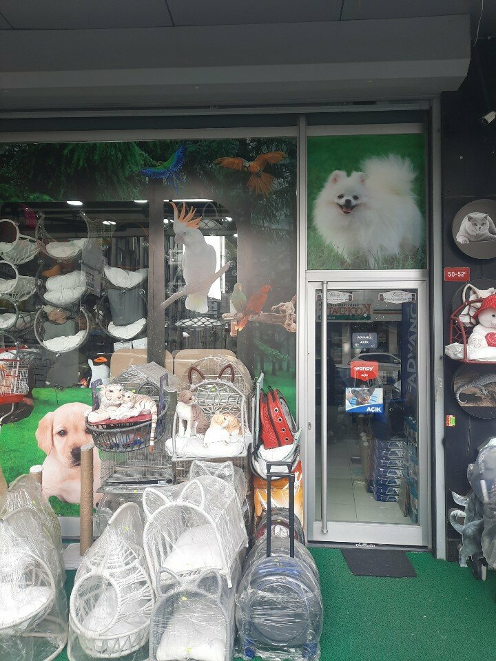 Evcil hayvan yemi üretimi Fellicia Satış Noktası, İstanbul, foto