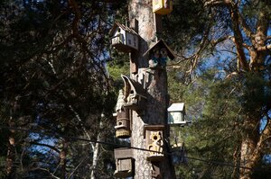 Art Birdhouses (Moscow Region, Balashikha Urban District, Village of Pestovo), park, sokak heykeli  Moskova ve Moskovskaya oblastından