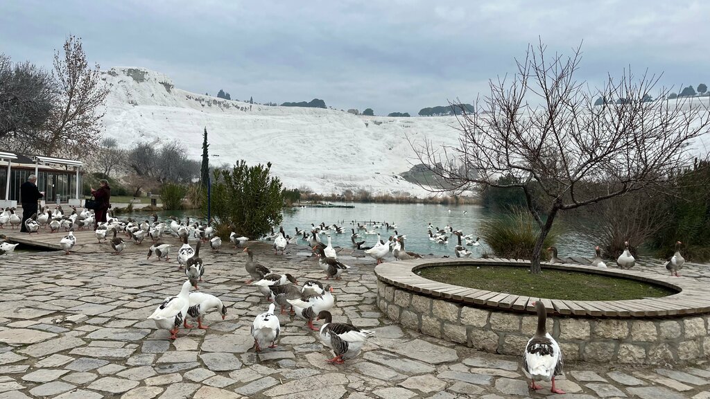 Süpermarket Pamukkale Market ve Pide Salonu, Denizli, foto