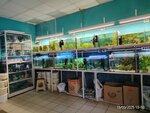 Аквамир (Sovetskiy Avenue No:14), petshop  Coca'dan