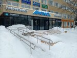 Туалет (Uritskogo Street No:47), tuvalet  Arhangelsk'ten