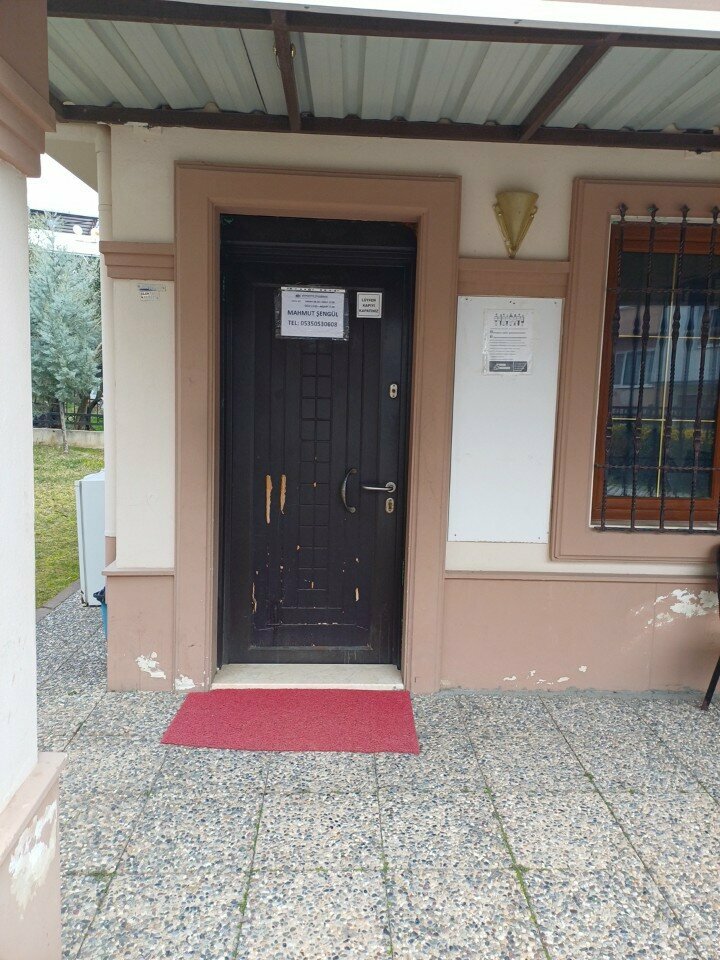 Muhtarlıklar Güneştepe Mahalle Muhtarlığı, Bursa, foto