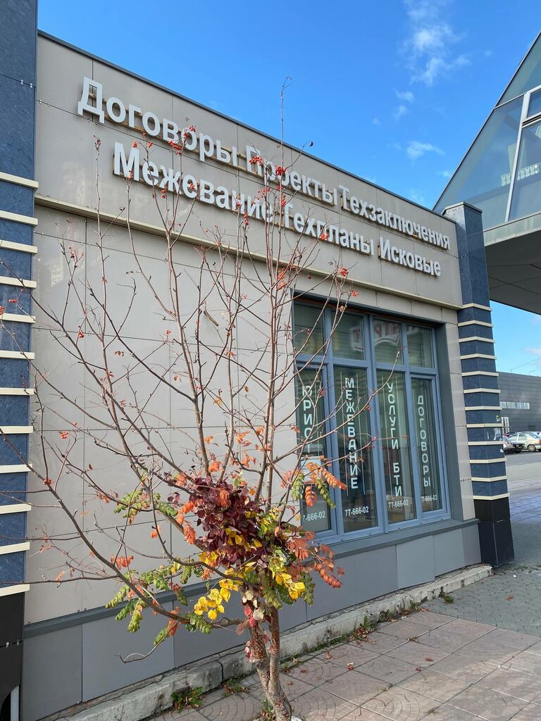 Lisanslı harita kadastro büroları Региональный кадастровый центр, Çeliabinsk, foto