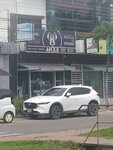 Apolo (Santa Cruz de la Sierra, Avenida Piraí, 295), evcil hayvan kuaförleri  Bolivya'dan