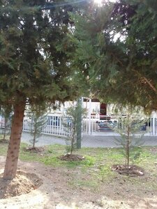 Tokkuşan maşınlar (Mingachevir, Müşvüq Mirzəyev adına Dostluq Parkı), atraksiyon  Mingeçevir'den