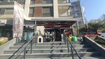 Bağdat Evcil Petshop (İstanbul, Kadıköy, Şemsettin Günaltay Cad., 11A), petshop  İstanbul'dan