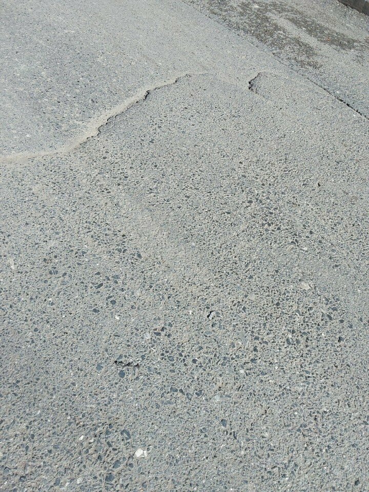 Şans oyunları 255 Nolu Ganyan, İstanbul, foto