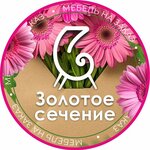 Золотое сечение (Karla Marksa Avenue No:210), mobilya mağazaları  Magnitogorsk'tan