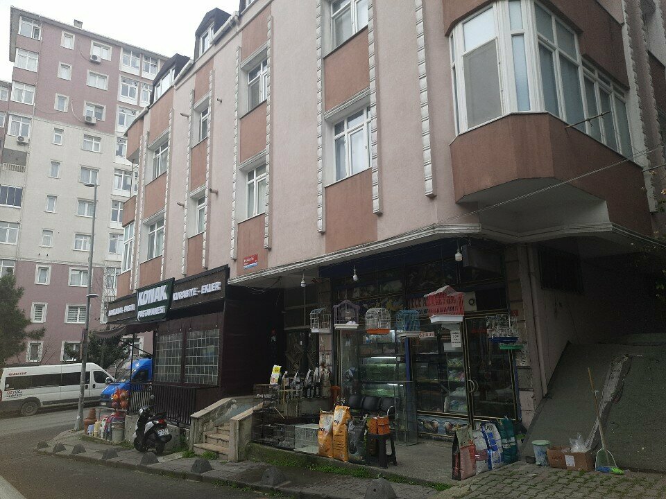 Petshop Ece Akvaryum, İstanbul, foto