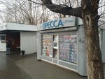 Айс (Tyumen, Shirotnaya ulitsa), dondurmacılar  Tiumen'den