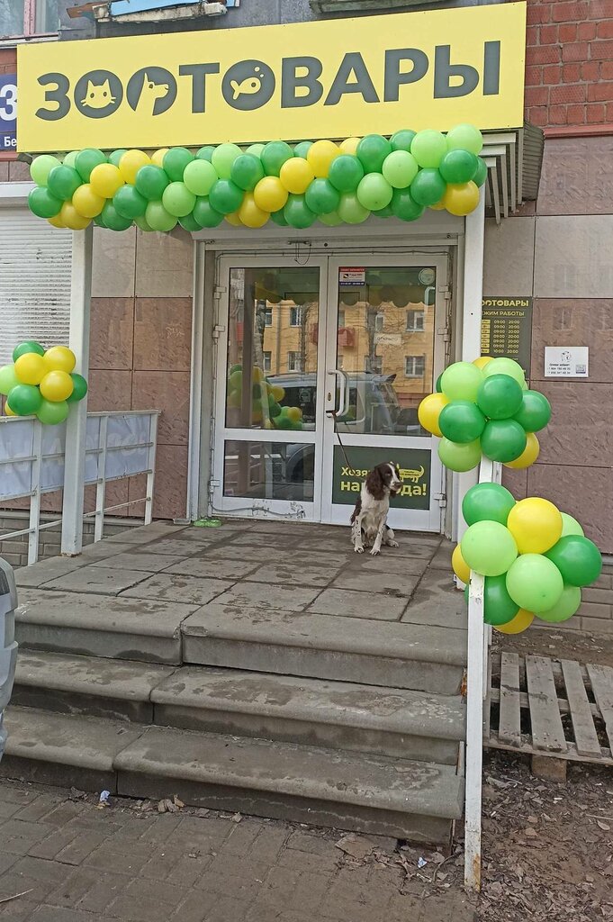 Petshop ЛапУсик, Nijni Novgorod, foto