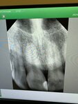 Диалог (Tikhaya ulitsa No:36), özel ağız ve diş sağlığı klinikleri ve muayenehaneleri  Fatej'den