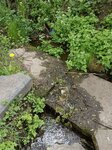 Spring, stream (Oryol Region, Orlik River), pınar, çay  Orel'den