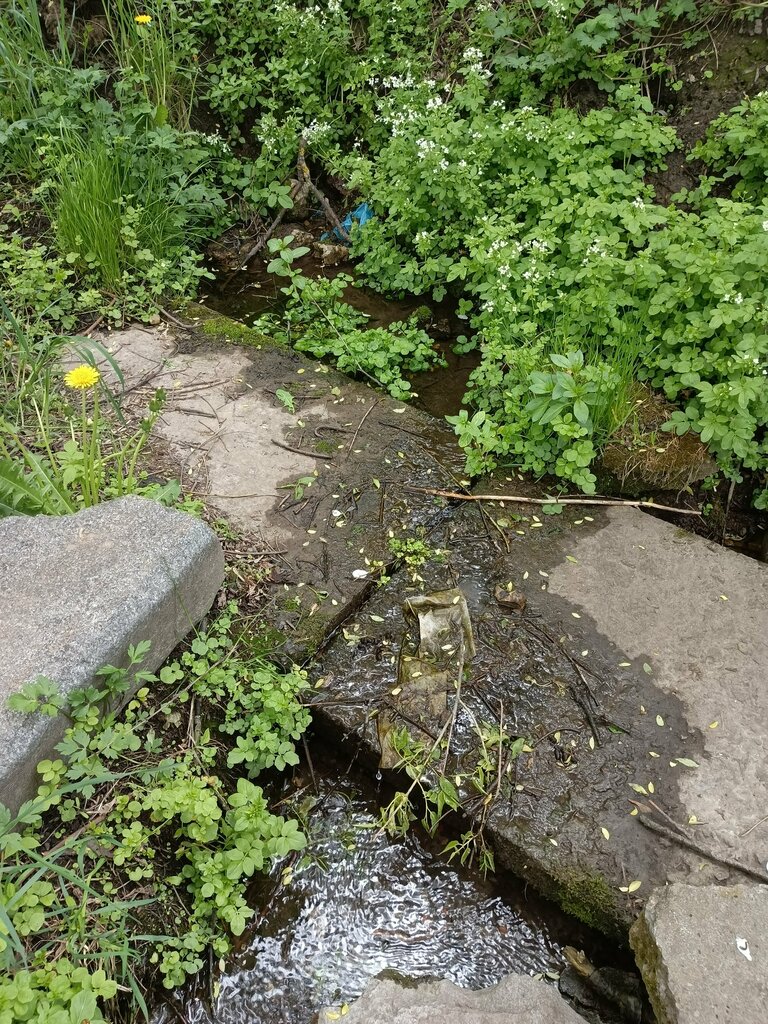 Pınar, çay Spring, stream, Orel, foto