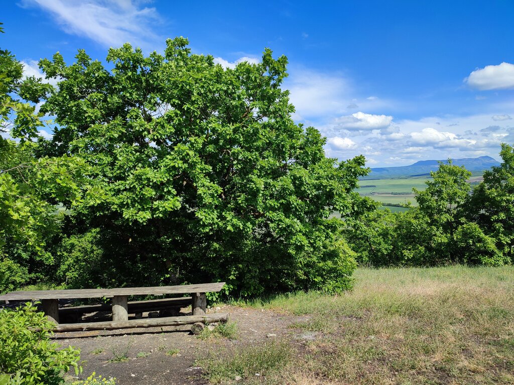 Piknik alanı Место для пикника, Kırım Cumhuriyeti, foto