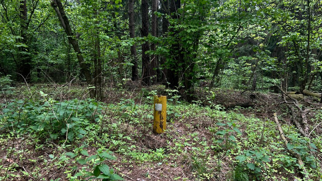 Dağ zirvesi Высота 268 метра, Minskaya oblastı, foto