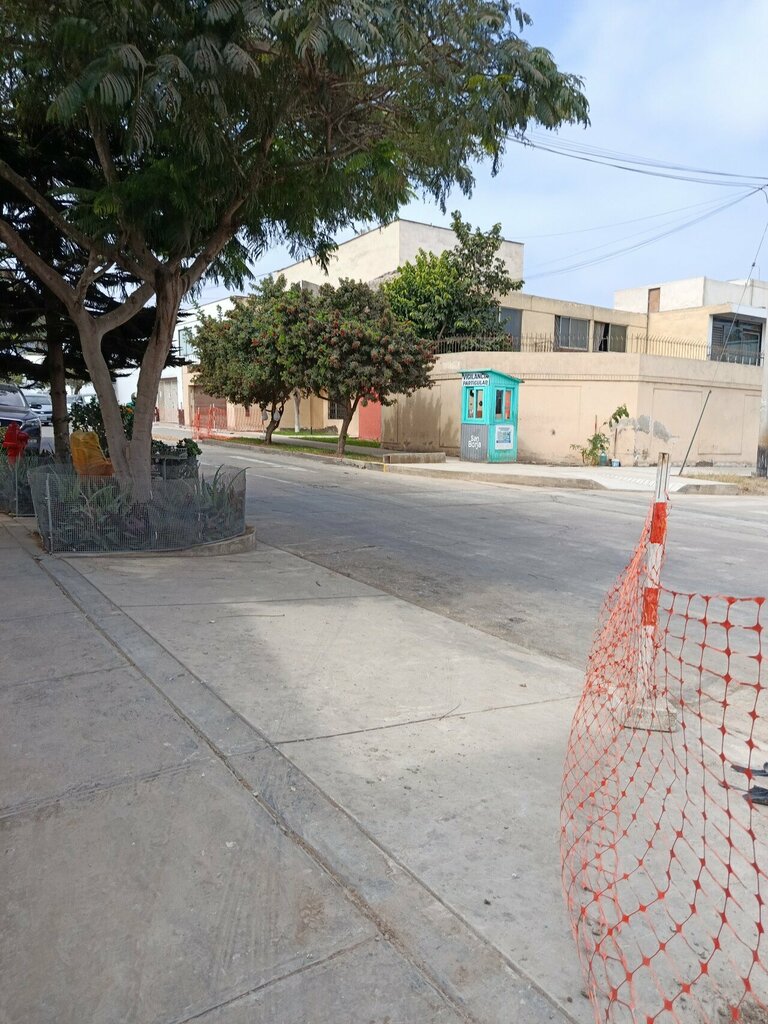 Geçiş noktaları, güvenlik kontrol alanı Vigilancia particular, Lima, foto