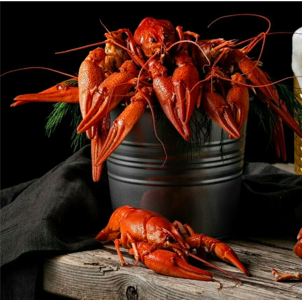 Kafe Бар, Soçi, foto